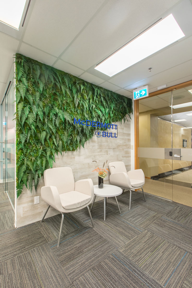 Miniso Canada | Concrete Cashmere Designs